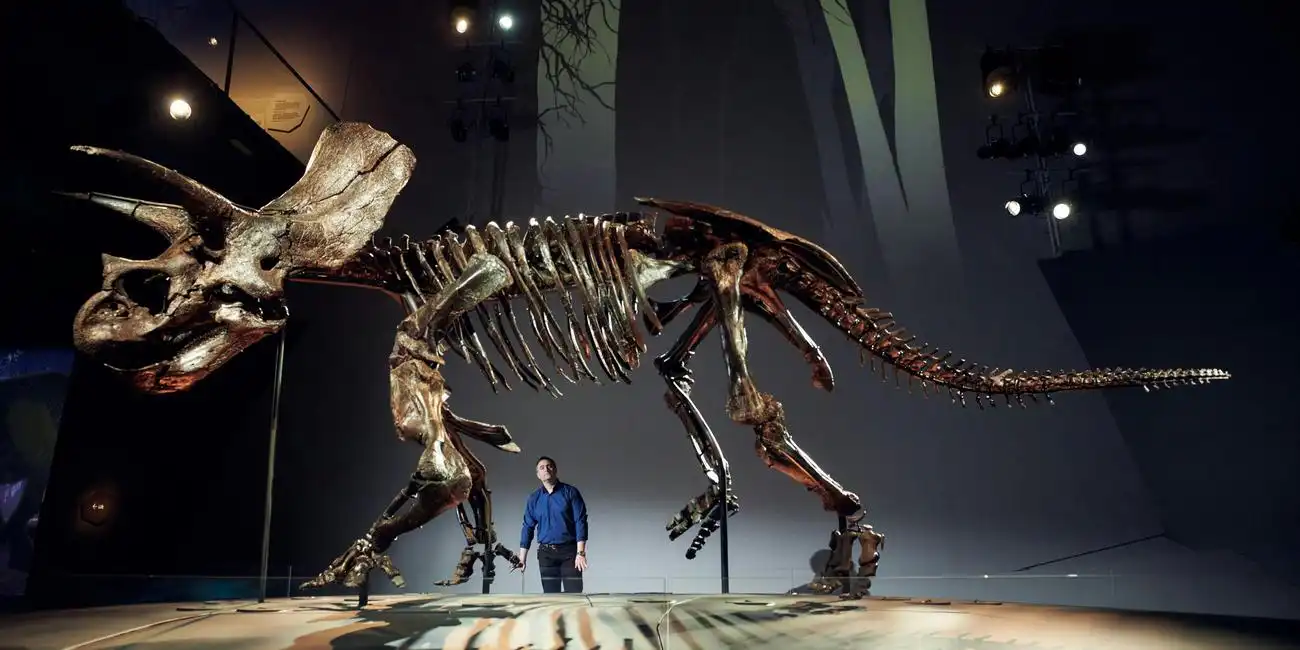 Melbourne Museum: Home of Dinosaurs Guided Tour | Melbourne Tickets