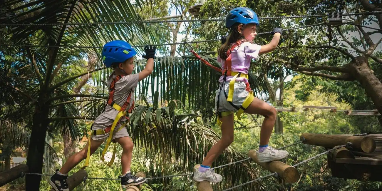 Treetops Adventure Yeodene Park: Junior Ropes Course | Melbourne Tickets