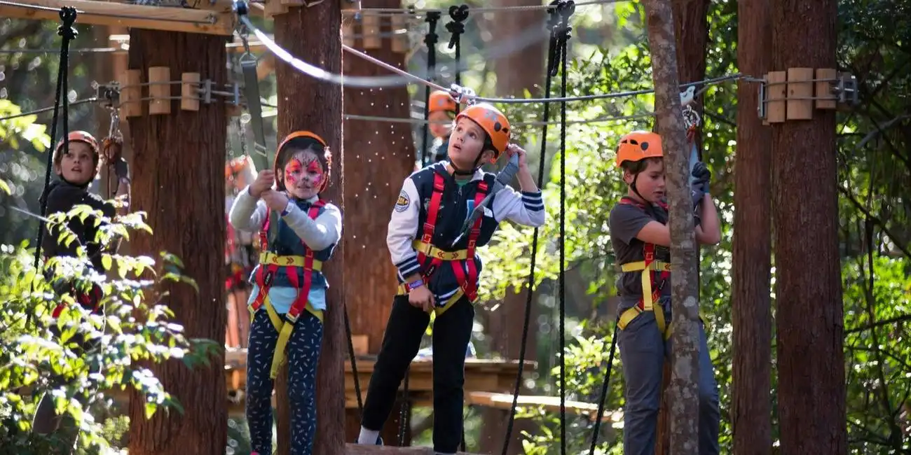 Treetops Adventure Belgrave: Entry Ticket | Melbourne Tickets