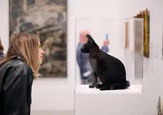 National Gallery of Victoria: Cats & Dogs Exhibition | Melbourne Tickets