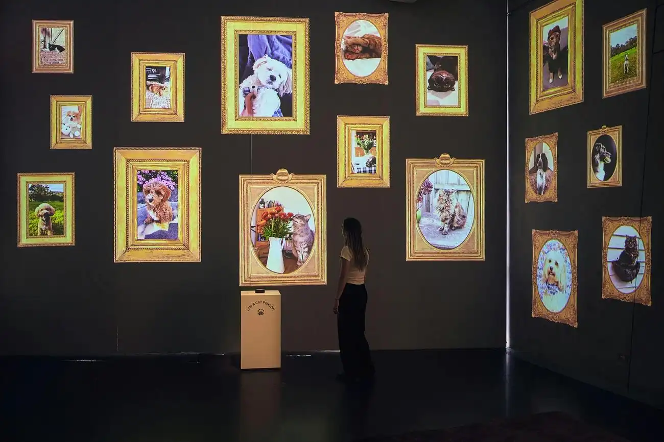 National Gallery of Victoria: Cats & Dogs Exhibition | Melbourne Tickets